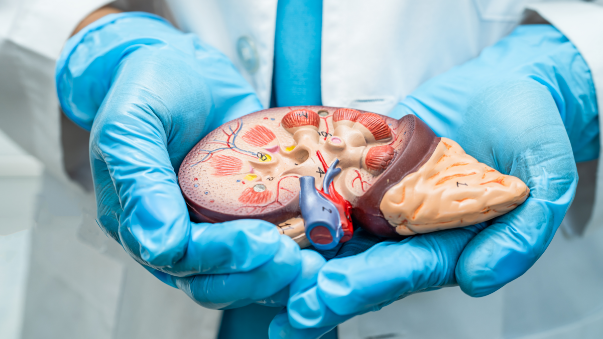 What Is Alcoholic Liver Disease (ALD) - Indiana Center for Recovery